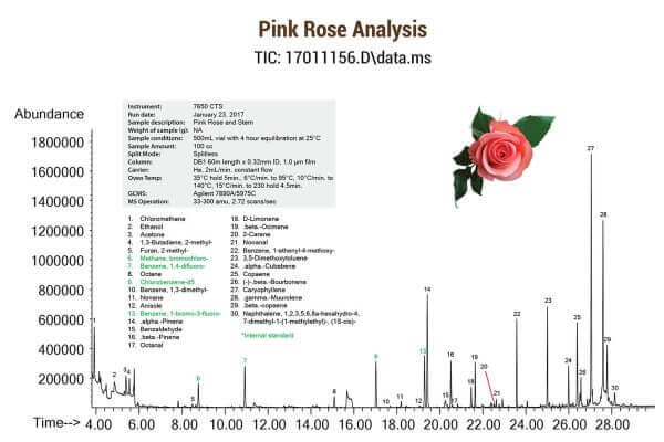 Chromatogram - LVHS Pink Rose Analysis - Entech Instruments