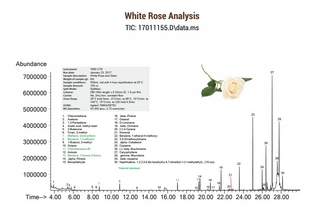 Chromatograph - LVHS White Rose - Entech Instruments